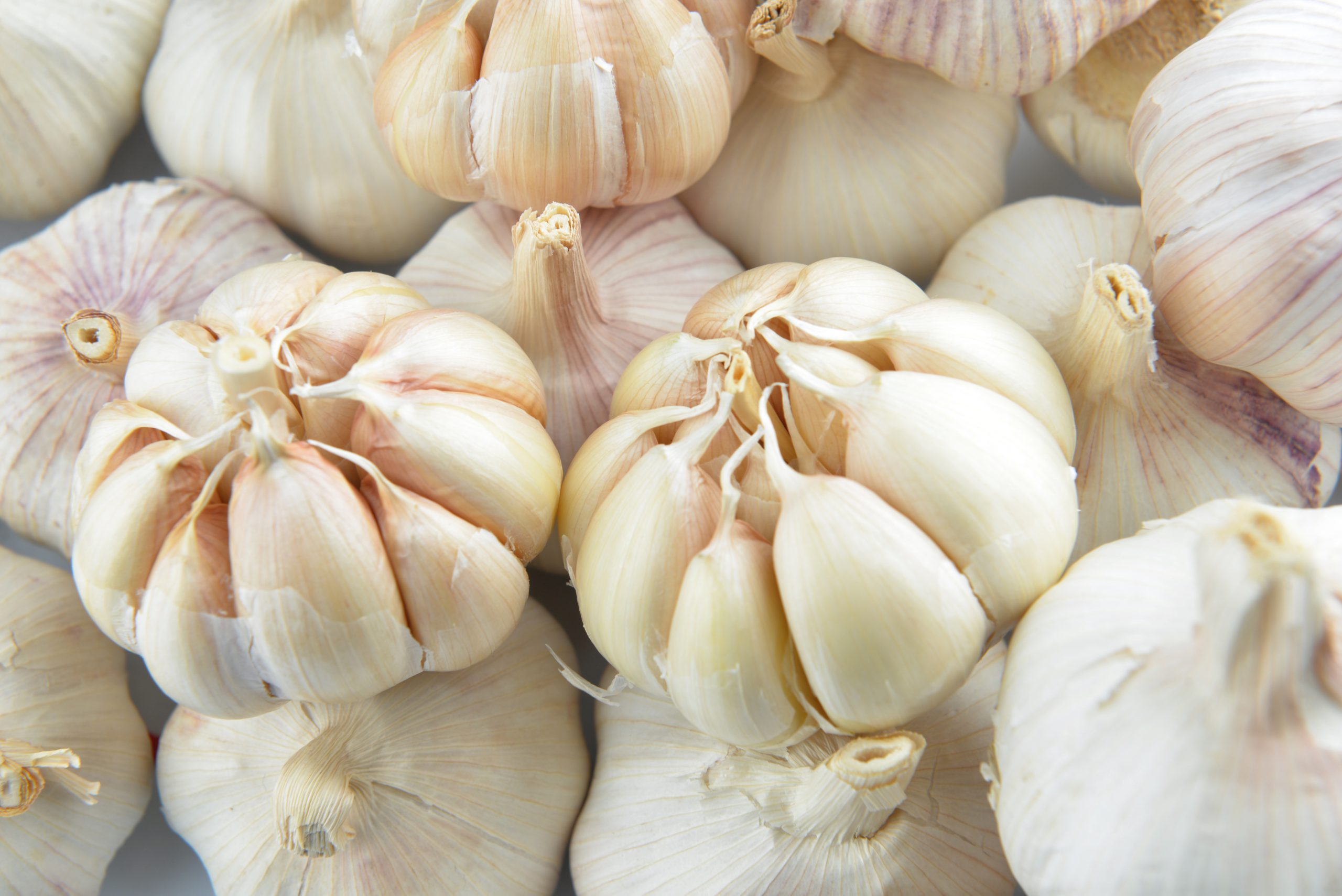 Właściwości zdrowotne czosnku - ETER-MED Gdańsk